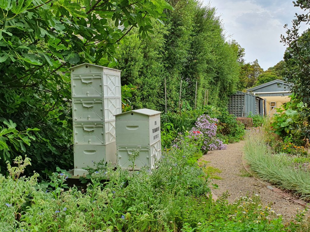 Home - The Bearded Bee